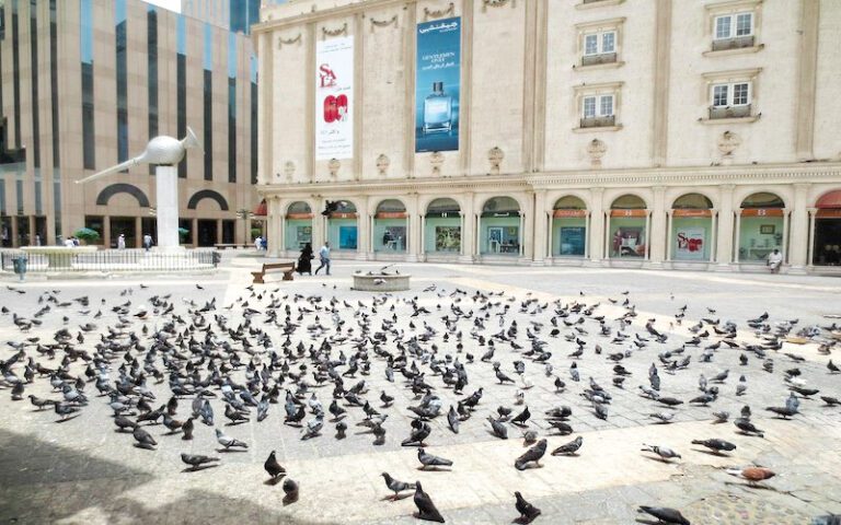 12 Most Beautiful Places in Saudi Arabia to Visit (Updated 2025)