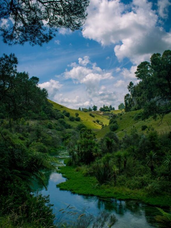 12 Amazing Hidden Gems in New Zealand Only Locals Know About