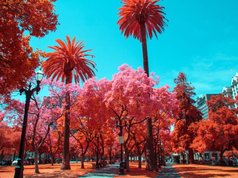 12 Stunning Hidden Gems in California That Will Leave You Speechless