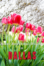12 Enchanting Places in Dallas That Look Straight Out of a Postcard ...