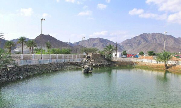 12 Enchanting Places in Fujairah That Look Straight Out of a Postcard