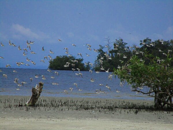 12 Absolutely Breathtaking Places to Visit in Gabon