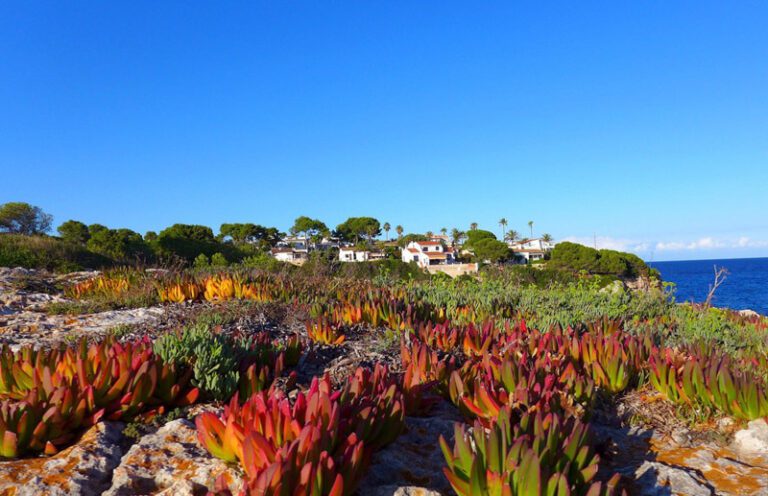 12 Jaw-Dropping Destinations in the Balearic Islands to Visit This Year