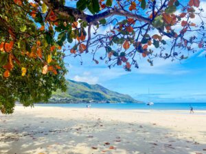 12 Magically Beautiful Places in the Seychelles You Need to Visit ...