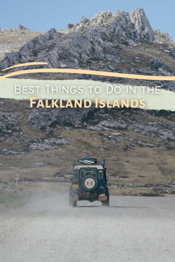 Where to Go in Falkland Islands: 12 Amazing Experiences