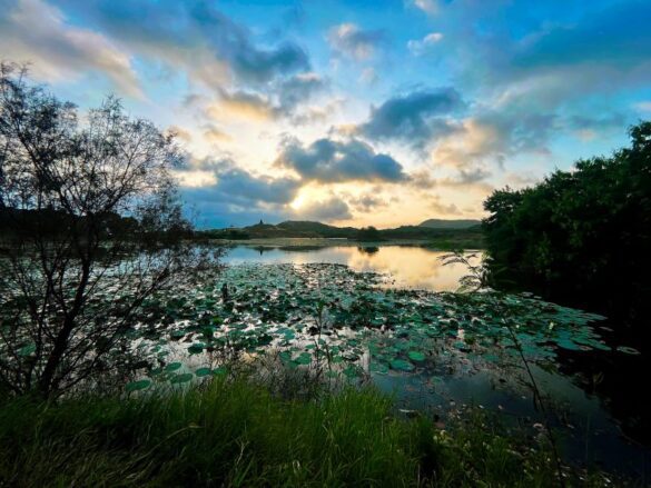 12 Picture-Perfect Places in Gujarat That Will Blow Your Mind