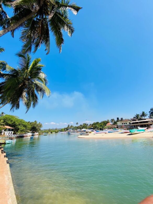 12 Spectacular Spots in Goa You Have to See to Believe - Global Viewpoint