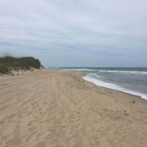 The 12 Most Beautiful Locations in the Outer Banks to Visit - Global ...