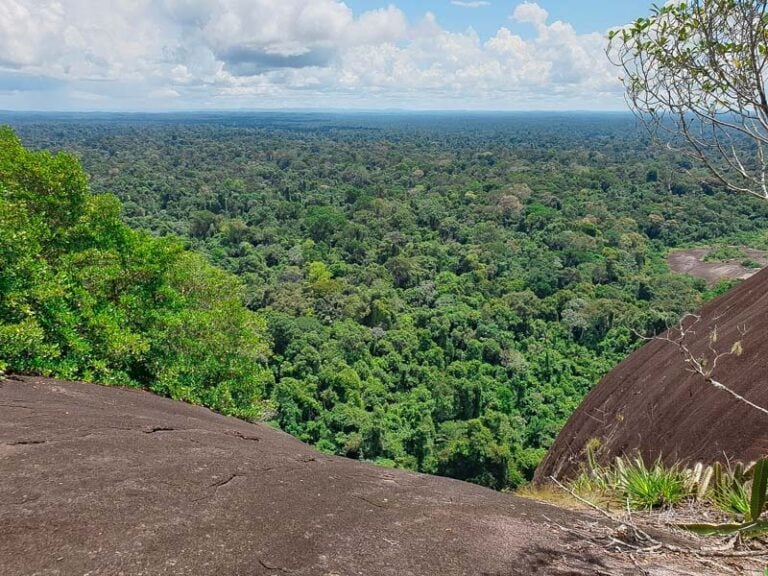 12 Epic and Beautiful Spots to See in Suriname
