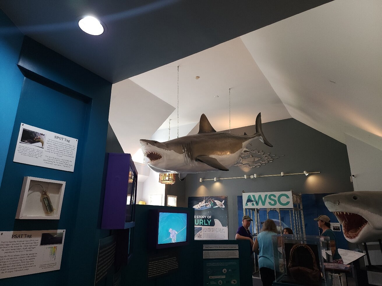 15 Can’t-Miss Things to Do in Chatham, MA (Local Favorites)