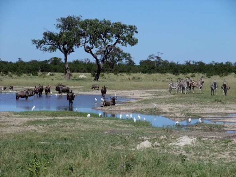 12 Exceptionally Beautiful Places in Botswana (Must-See Spots) - Global ...