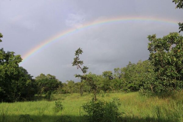 12 Jaw-Dropping Destinations in Côte d’Ivoire to Visit This Year ...