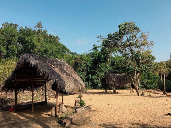 12 Epic and Beautiful Spots to See in Suriname