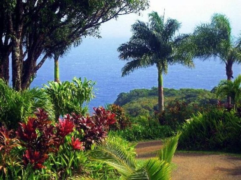12 Hidden Gems in Maui That Nobody Knows About