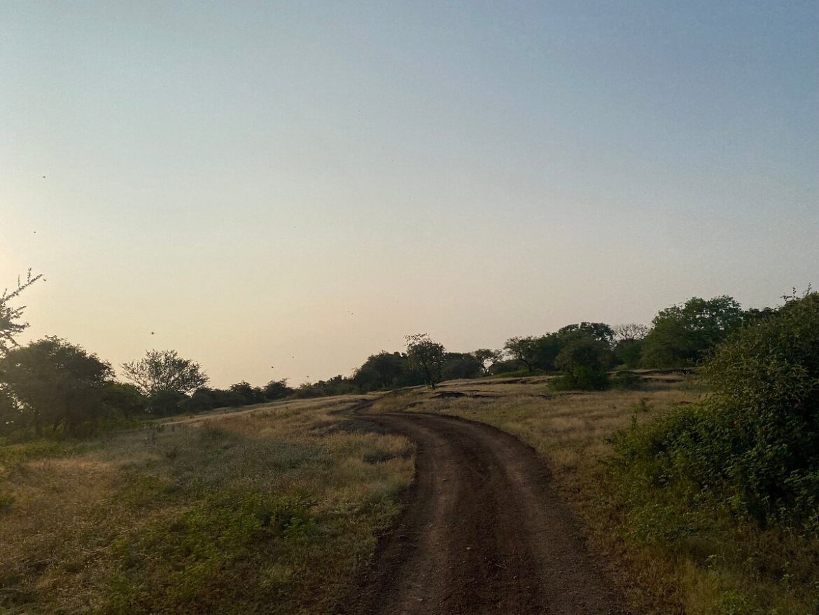 12 Picture-Perfect Places in Gujarat That Will Blow Your Mind