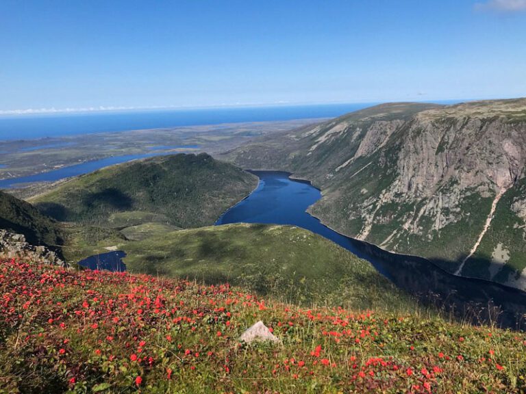 12 Top-Rated Things to Do in Gros Morne National Park