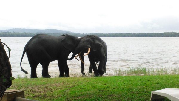 12 Absolutely Breathtaking Places to Visit in Gabon