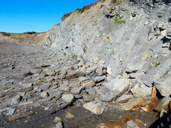 Bay of Fundy Bucket List: 15 Epic Sights & Attractions - Global Viewpoint