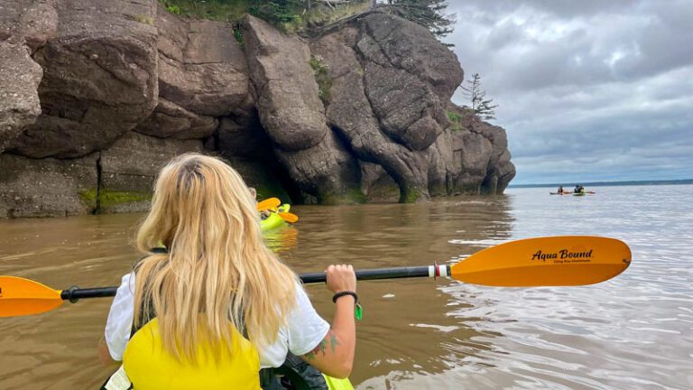 12 Epic the Bay of Fundy Adventures for Your Bucket List - Global Viewpoint