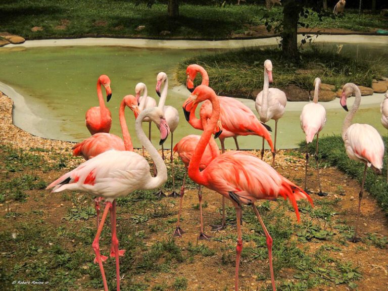 12 Must-Do Experiences in Kosice, Slovakia - Global Viewpoint