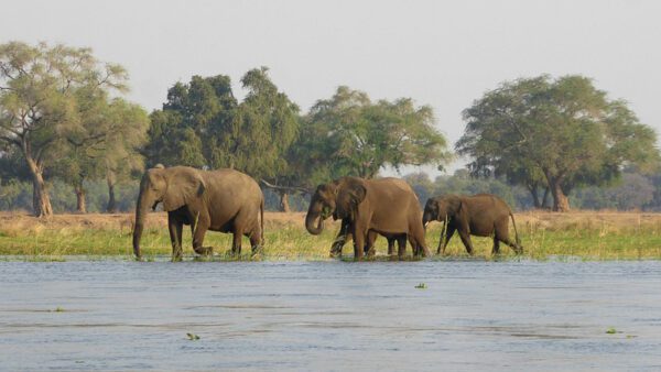 12 STUNNING Places to Visit in Zambia (Wait Till You See #9!)