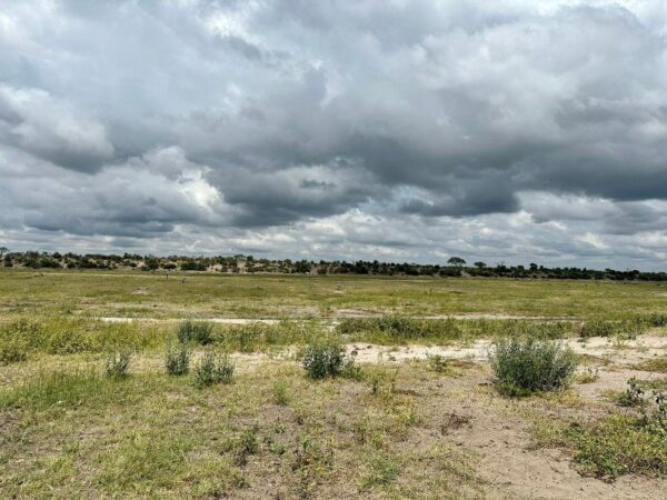 12 Exceptionally Beautiful Places in Botswana (Must-See Spots) - Global ...
