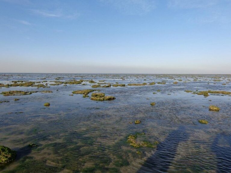 12 Picture-Perfect Places in Gujarat That Will Blow Your Mind