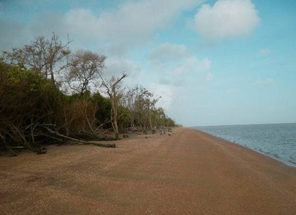 12 Epic and Beautiful Spots to See in Suriname