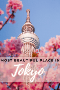 12 Picture-Perfect Spots in Tokyo That Feel Like a Dream - Global Viewpoint