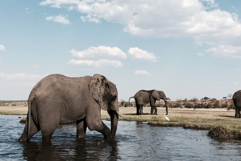 12 Exceptionally Beautiful Places in Botswana (Must-See Spots) - Global ...