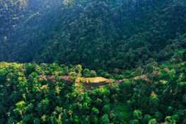 12 Epic and Beautiful Spots to See in Suriname