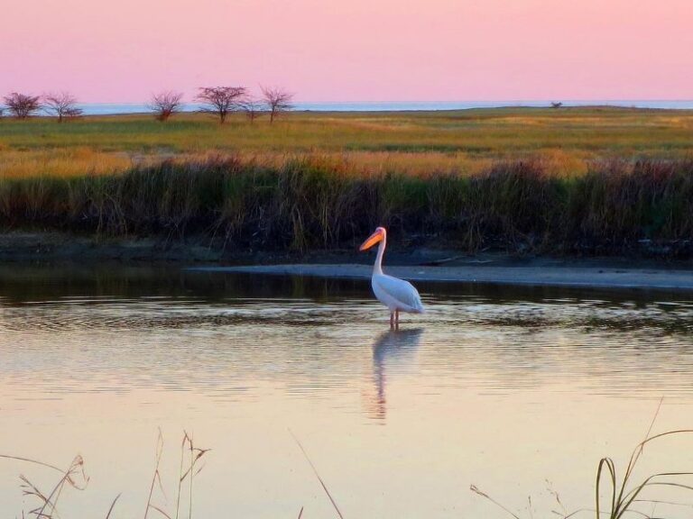 12 Exceptionally Beautiful Places in Botswana (Must-See Spots) - Global ...