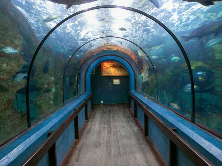 12 Awesome Things to Do in Swakopmund, Namibia for an Epic Trip