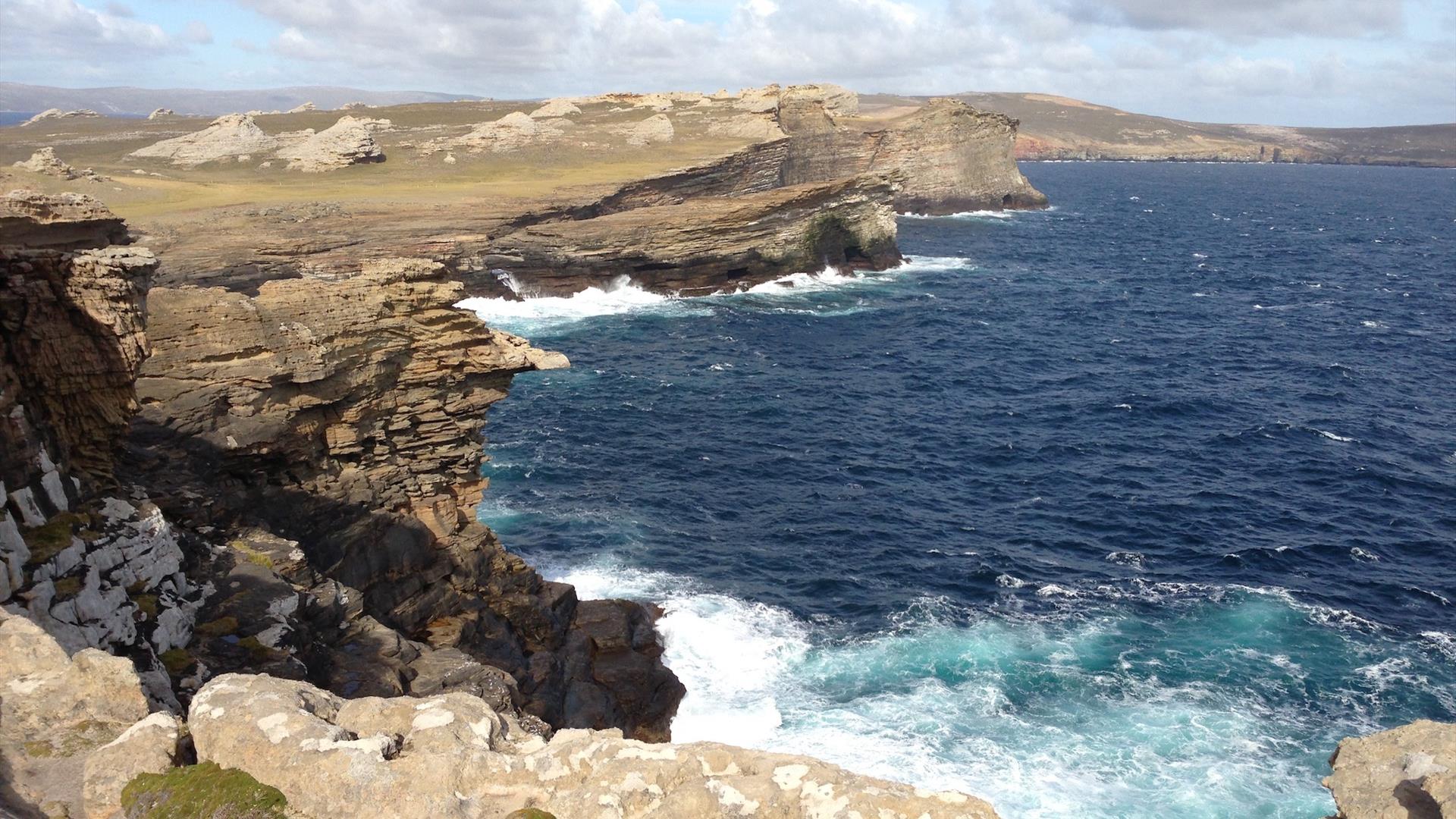 Where to Go in Falkland Islands: 12 Amazing Experiences