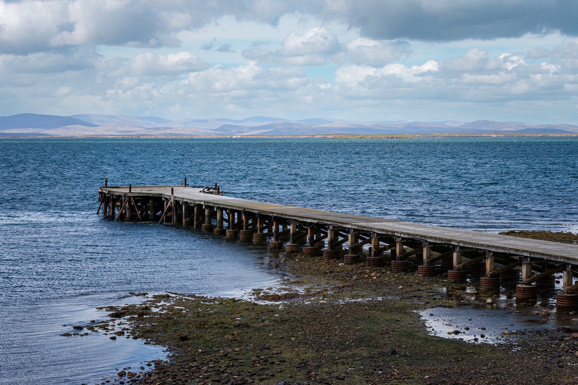 Where to Go in Falkland Islands: 12 Amazing Experiences