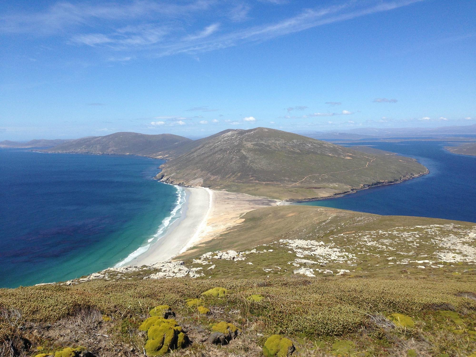 Where to Go in Falkland Islands: 12 Amazing Experiences