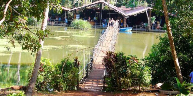 12 Spectacular Spots in Goa You Have to See to Believe - Global Viewpoint