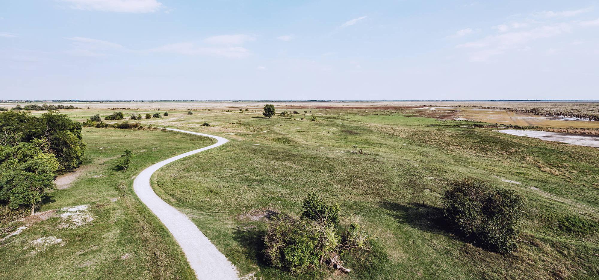 Explore Austria’s Burgenland: My Favorite Lakes, Wine & History