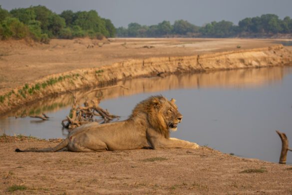 12 STUNNING Places to Visit in Zambia (Wait Till You See #9!)