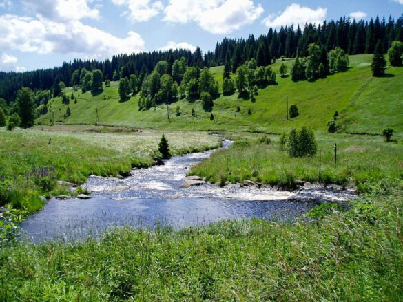 Bohemia’s 12 Best Attractions & Experiences for First-Timers - Global ...