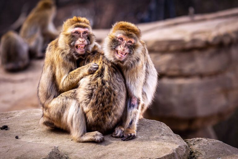 12 Jaw-Dropping Places in Vienna to Visit This Year