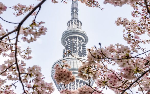12 Picture-Perfect Spots in Tokyo That Feel Like a Dream - Global Viewpoint