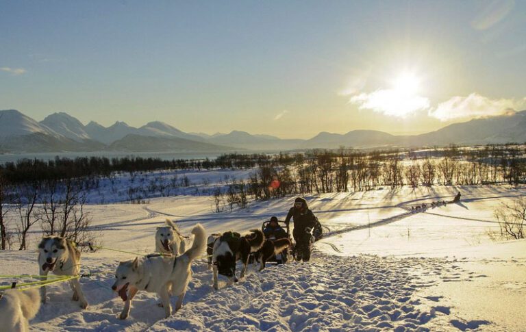 12 Must-See Tromsø, Norway Attractions & Unique Activities - Global ...
