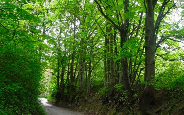 12 Jaw-Dropping Places in Vienna to Visit This Year