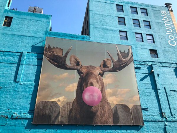 12 Amazing Hidden Gems in Chicago Only Locals Know About