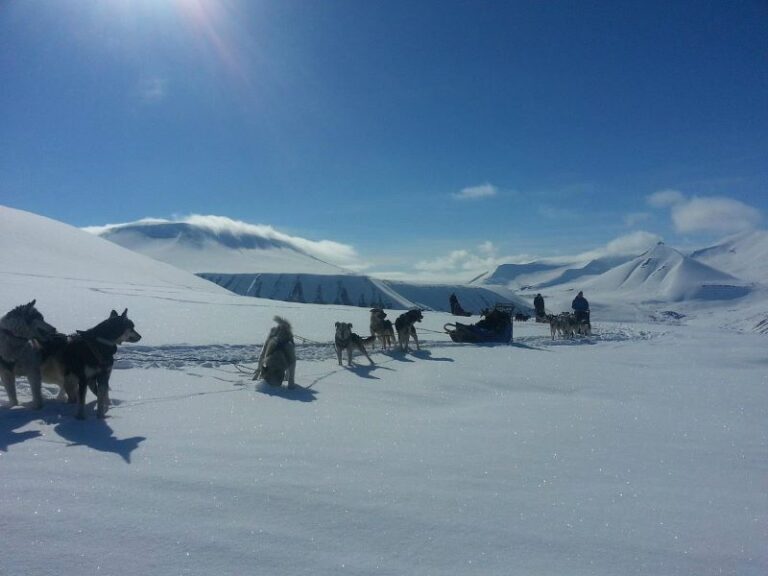 12 Scenic Destinations in Svalbard You Need to See