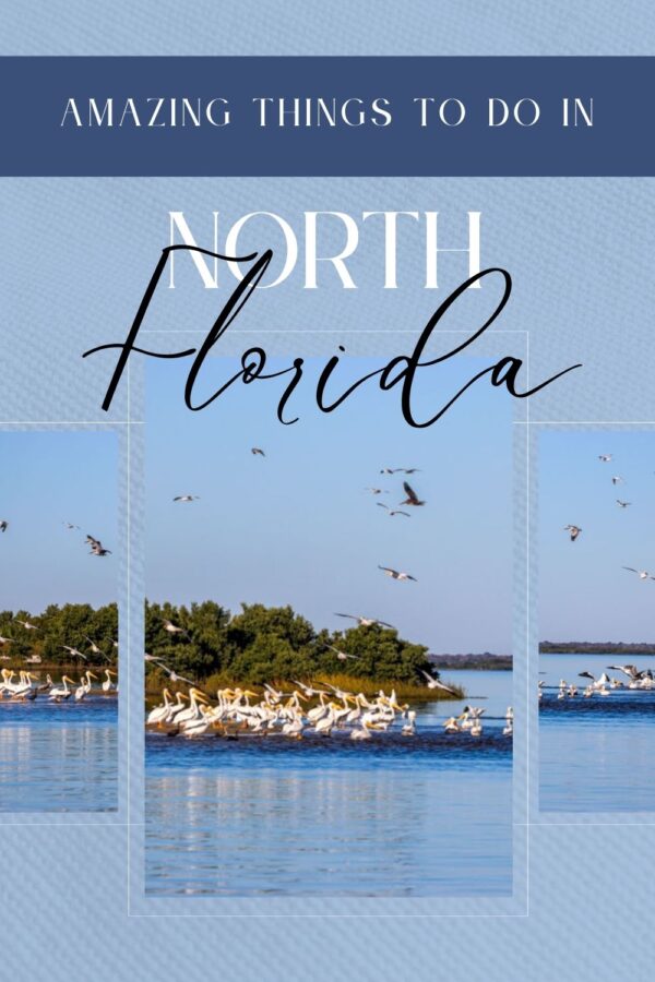 North Florida Bucket List: 15 Awesome Places to See - Global Viewpoint