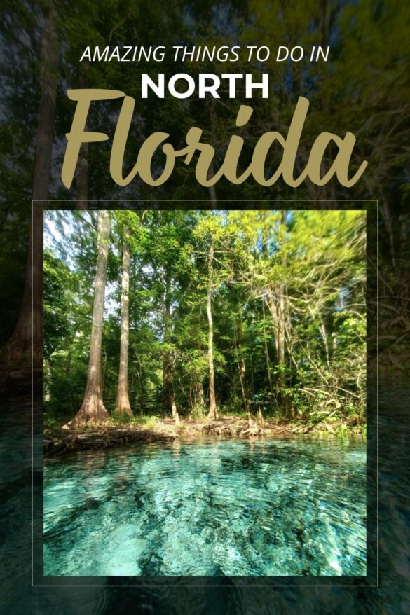 12 Unmissable Activities in Northern Florida You’ll Love - Global Viewpoint