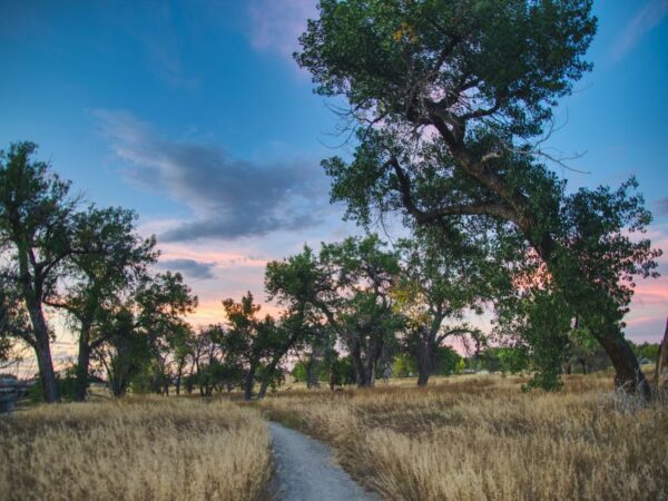 12 Jaw-Dropping Places to Live in Colorado in 2025 - Global Viewpoint