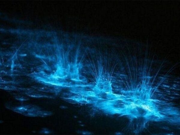 12 Underrated Places in Puerto Rico That Deserve to Be on Your Bucket List